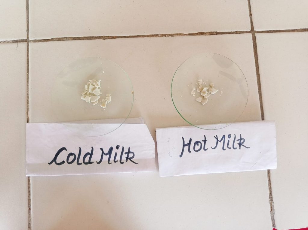 Isolation and Characterization of soil borne microbe